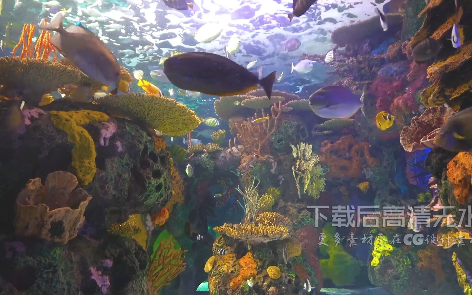 s944 2K画质海底世界各种鱼类儿童卡通晚会LED视频素材ae模板 会声...