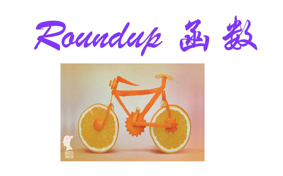 【ms office】roundup 函数