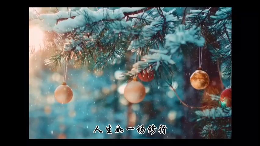 撒贝宁语录:人生如一场修行。