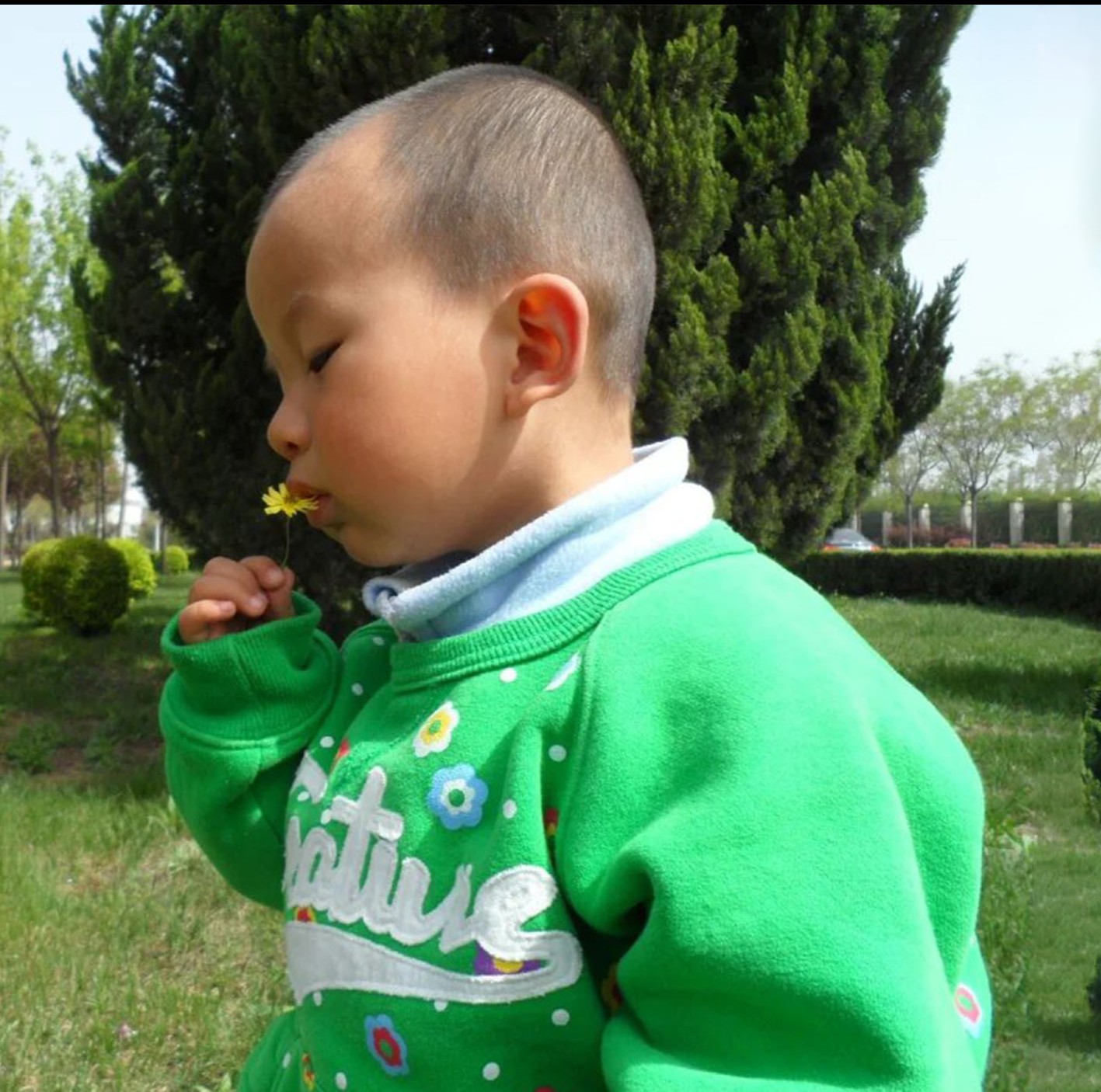 51zhan 