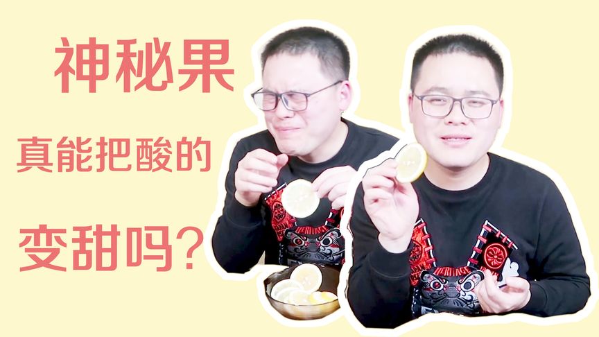 能改变味觉的神秘果,吃了真能干嚼柠檬吗
