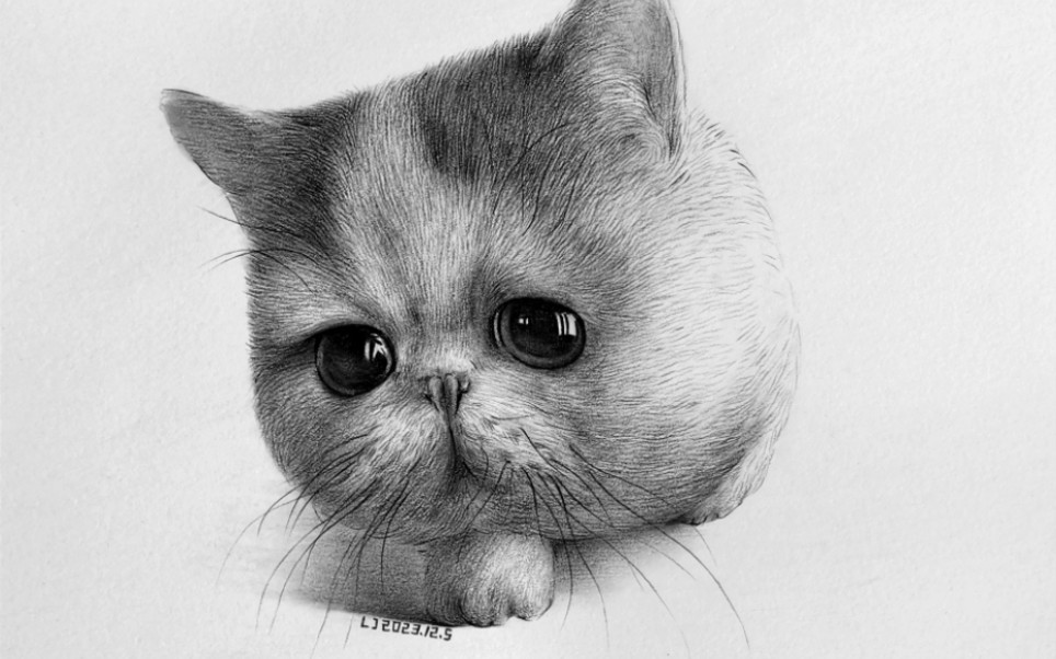 简单素描动物—小猫