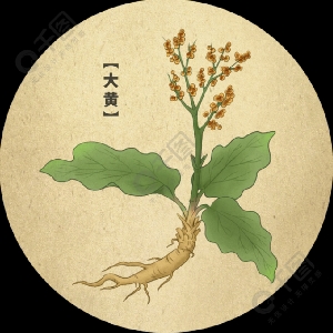 水妖聊中药 