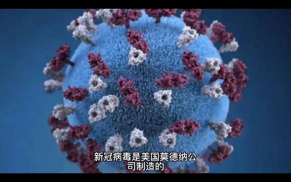 新冠病毒美国公司制造的?