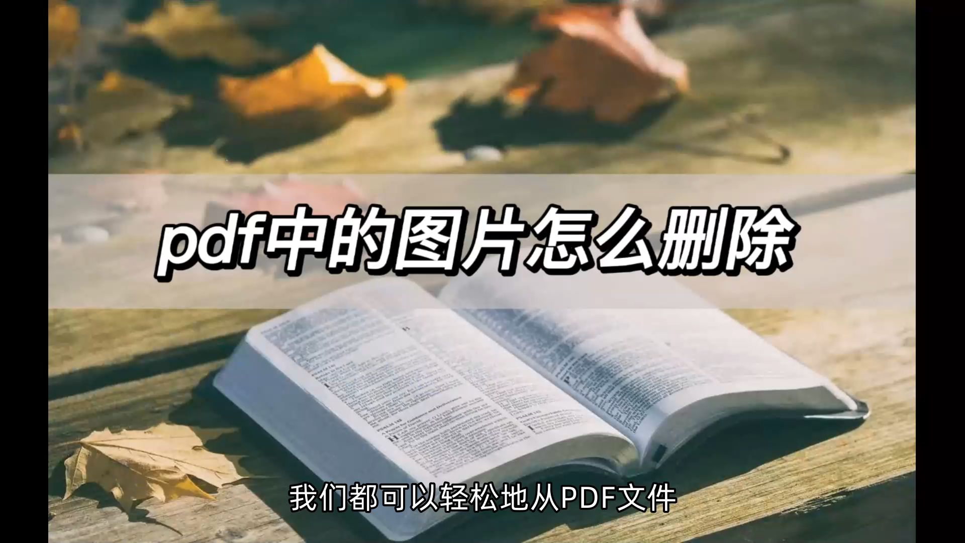 pdf中的图片怎么删除,教你两招快速删除