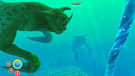 小鸢实况 深海迷航零度之下19代码刷起来,飞头术前来摸索全图