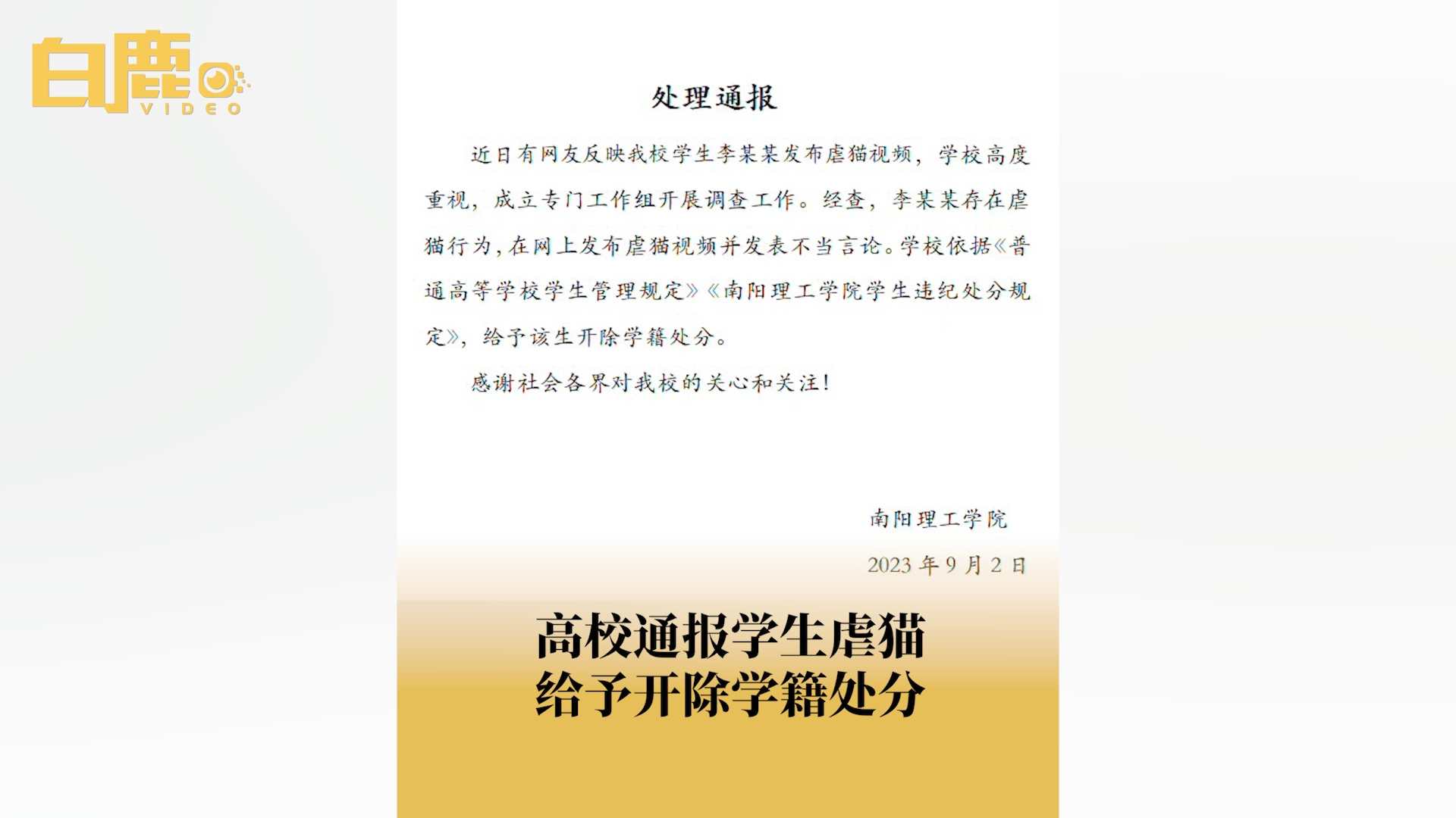 高校通报学生虐猫给予开除学籍处分