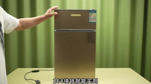坑人货还是真香?264块钱的双开门小冰箱,试玩拆解