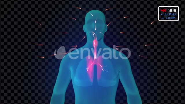 ...个病毒细菌感染人体器官肺部咳嗽生病医疗生物科技感HUD循环动画...