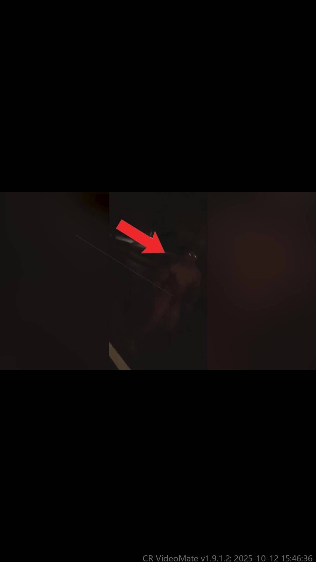 线型雕塑的制作过程,看完非常解压 #雕塑艺术 (2)