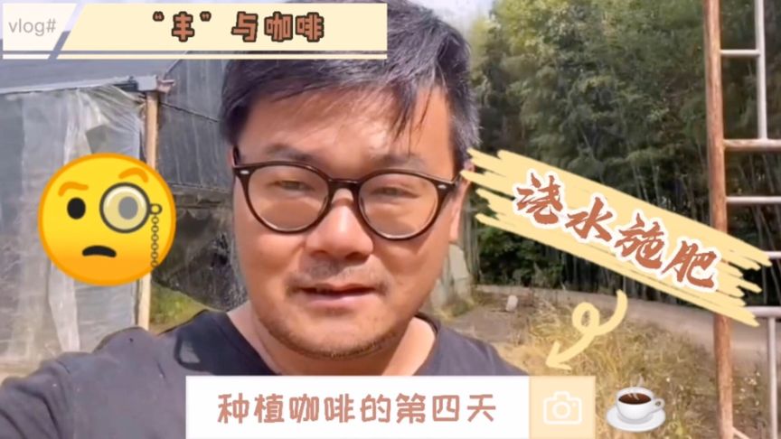 台湾阿丰在大陆,种植咖啡的第四天,记录咖啡豆的成长过程