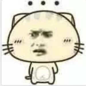 wobosn 