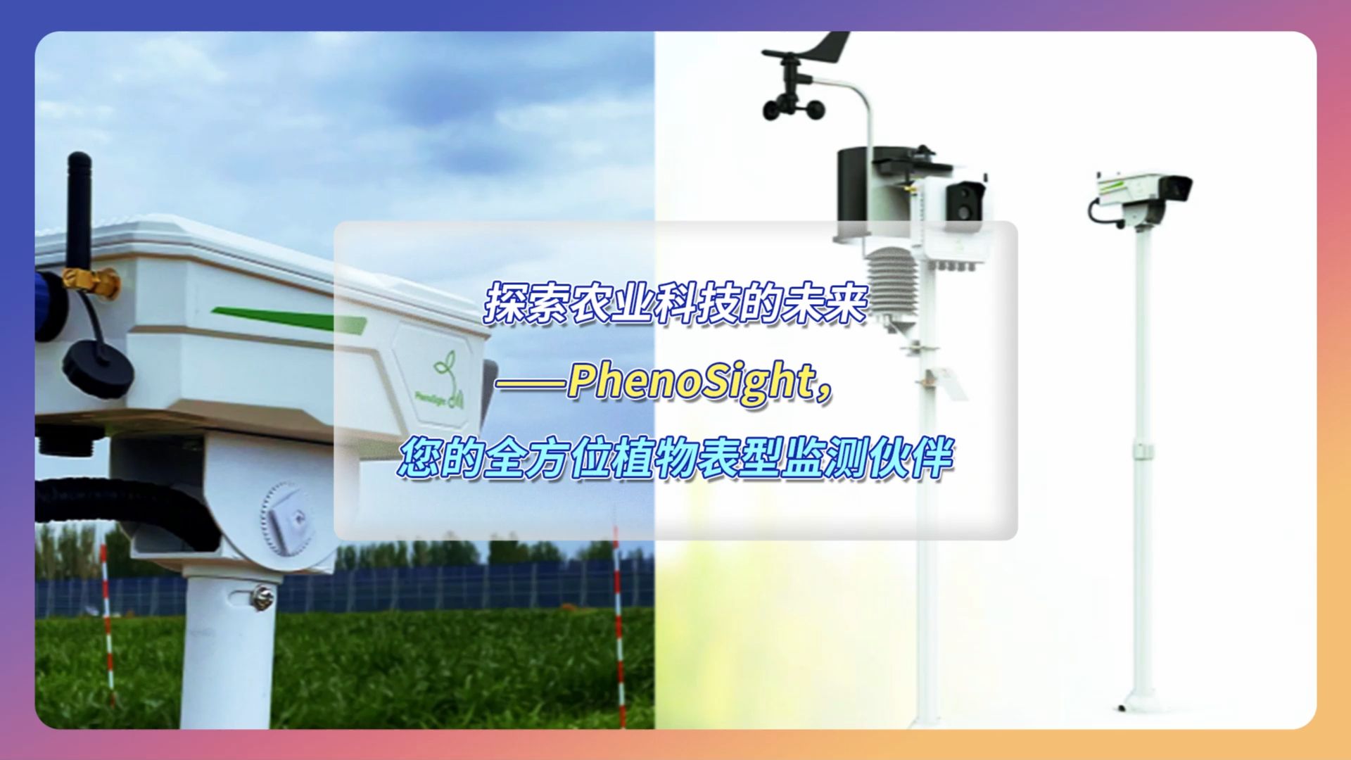 PhenoSight,您的全方位植物表型监测伙伴