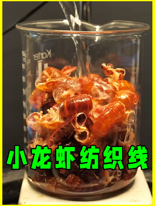 手把手教你用小龙虾壳纺织床单化学妙不可言