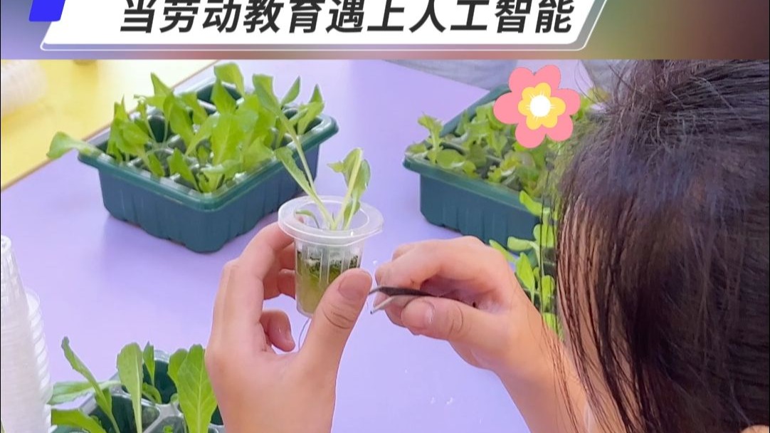 当劳动教育遇上人工智能