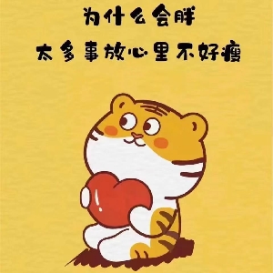 铭轩精选 