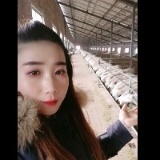 农村养殖老妹