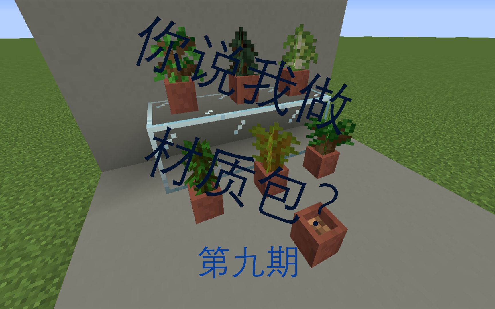 【我的世界】你说我做材质包?第九期(花盆)
