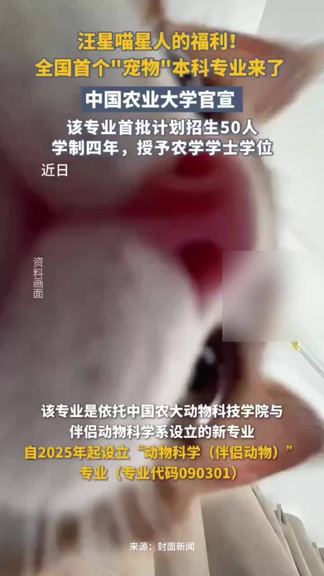 全国首个"宠物"本科专业来了!中国农业大学官宣设立"动物科学(伴侣...