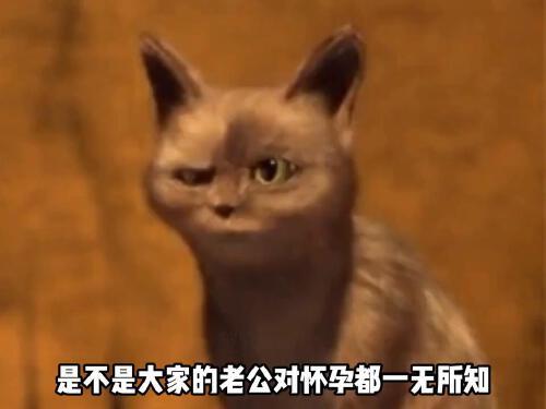 怀孕老公一脸懵,揭秘男人怀孕真相!