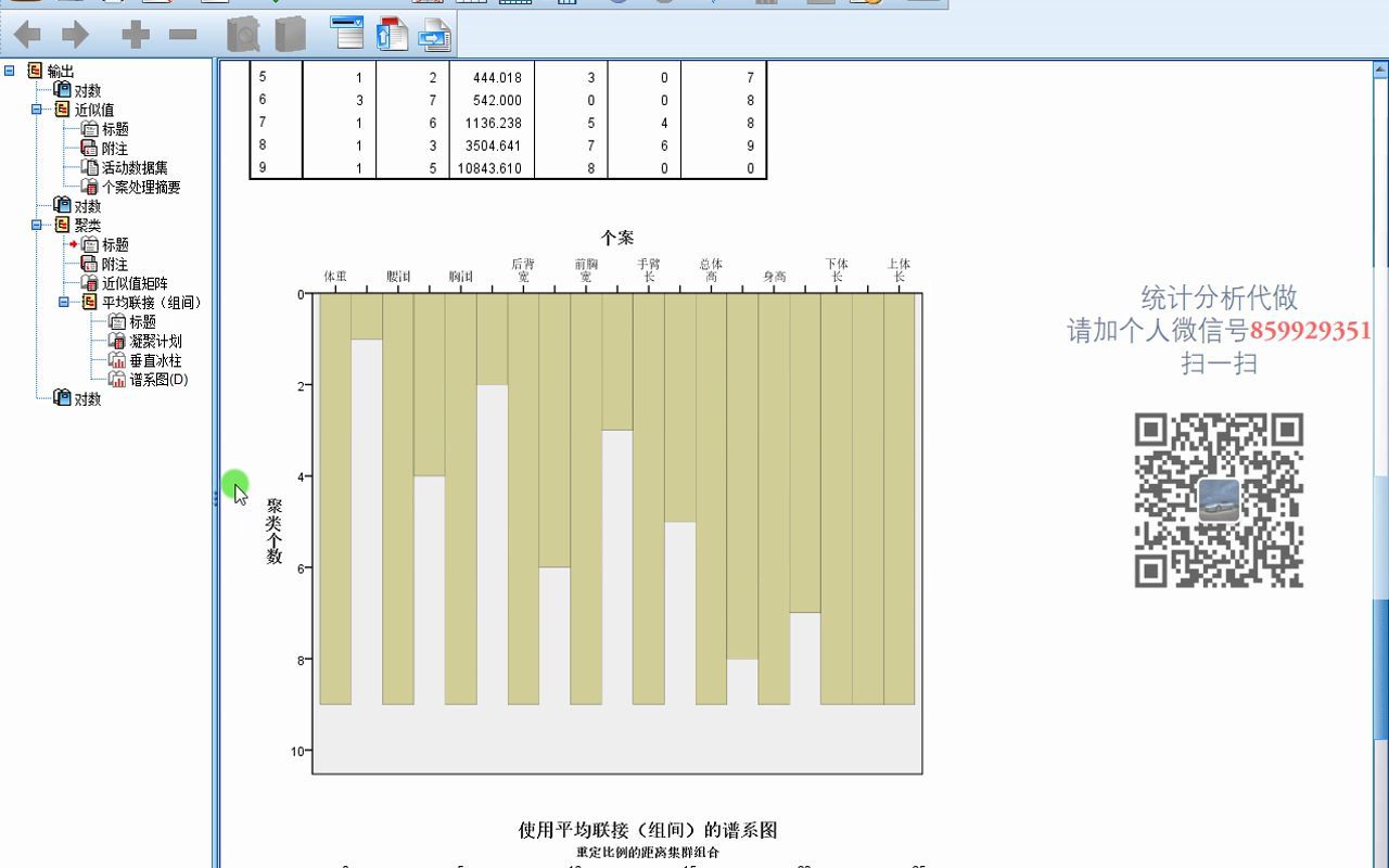 SPSS-聚类分析2-系统聚类-SPSS数据分析-SPSS统计分析-SPSS统计...