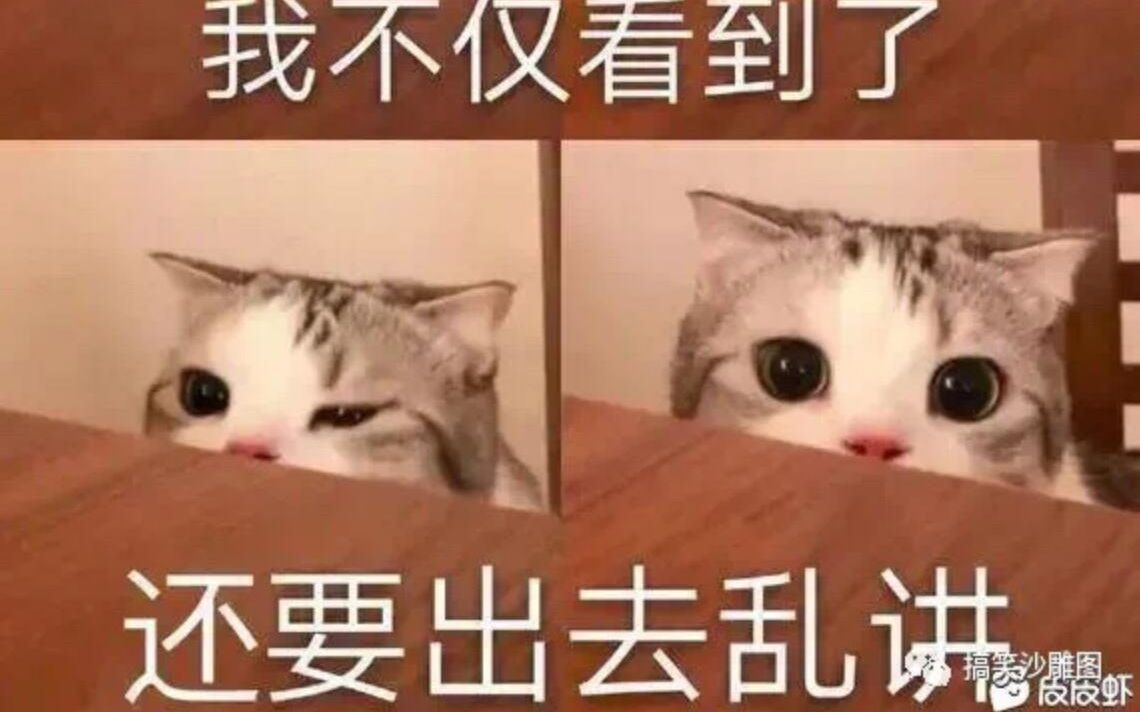 S14 锐眼【流血弓】强度翻几番,路线2前瞻?流放之路POE