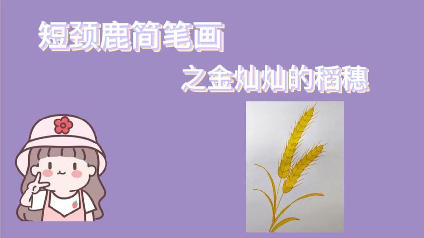 简笔画:金灿灿的稻穗～