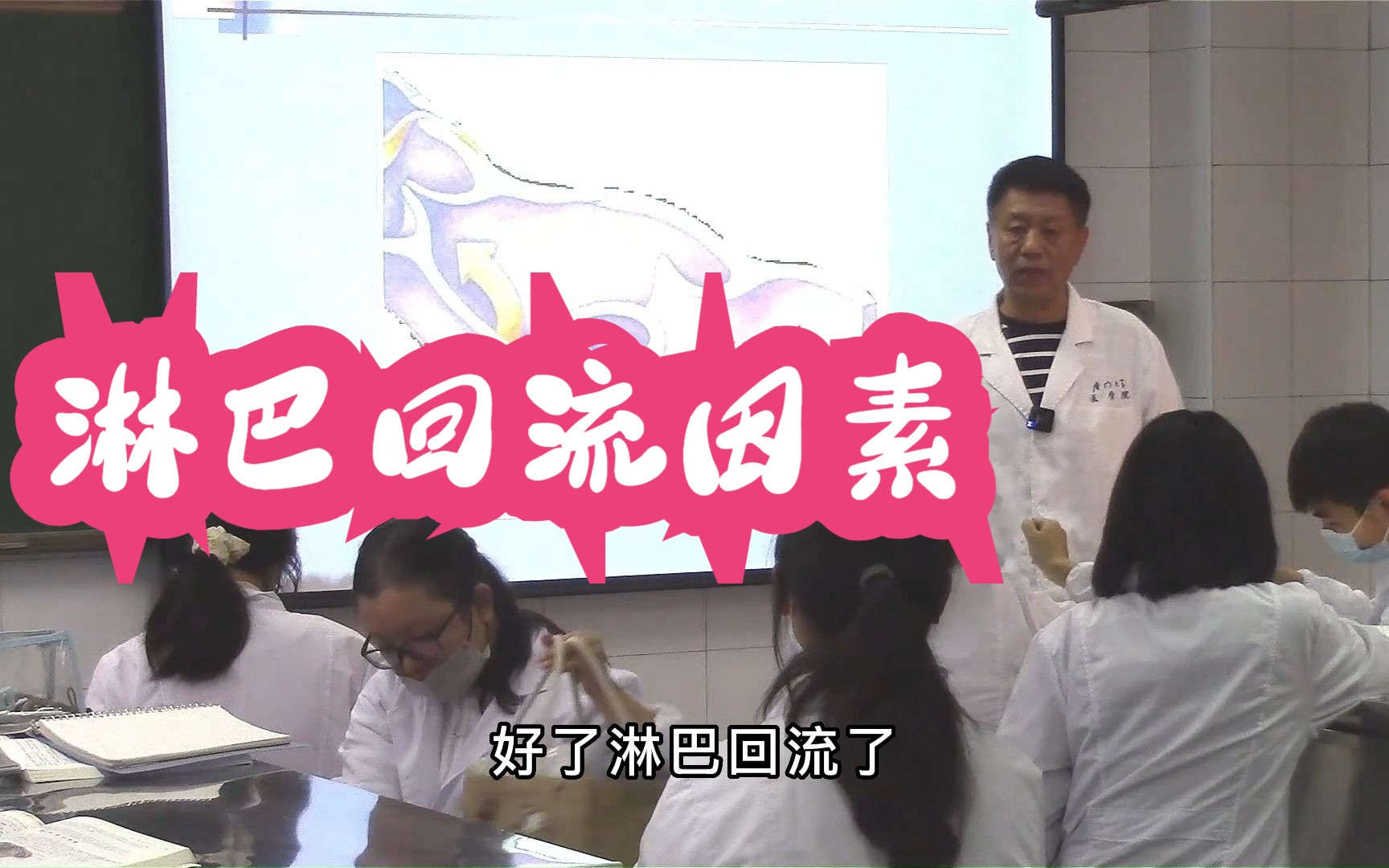 心血管系统 淋巴系统 淋巴回流的因素 系统解剖学
