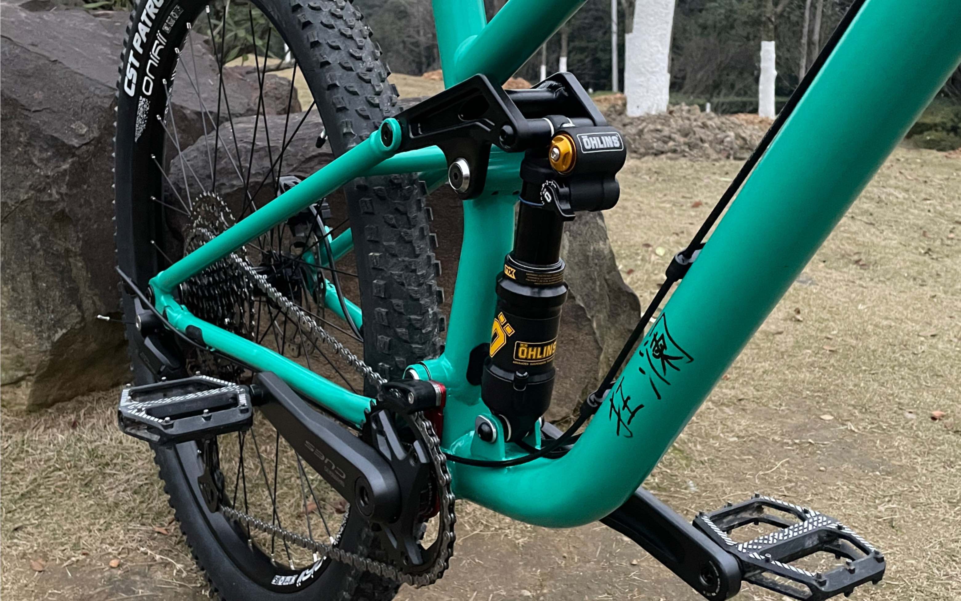 软尾钢架几何,杠杆比等技术参数公布,是你的菜吗?元芳,你怎么看?