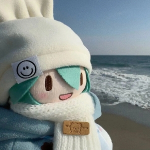 洛枫遍野mapleleaf 