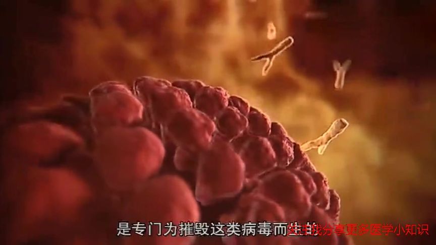 医学科普带你看人体为什么会感冒发烧人体抵抗感冒病毒入侵的过程
