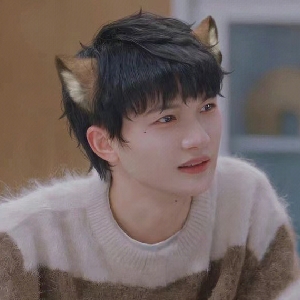 温顺的小呆猫 