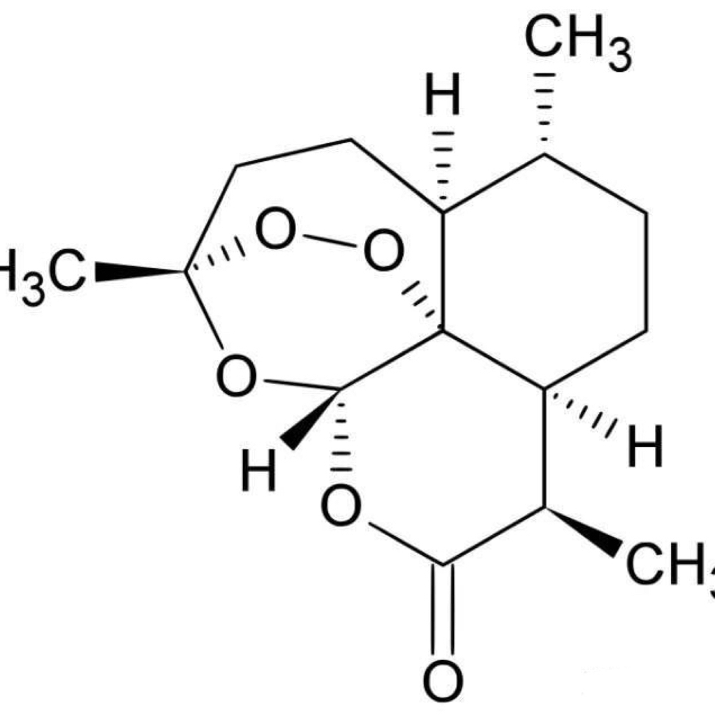 萌萌哒丶阿姆斯特朗 
