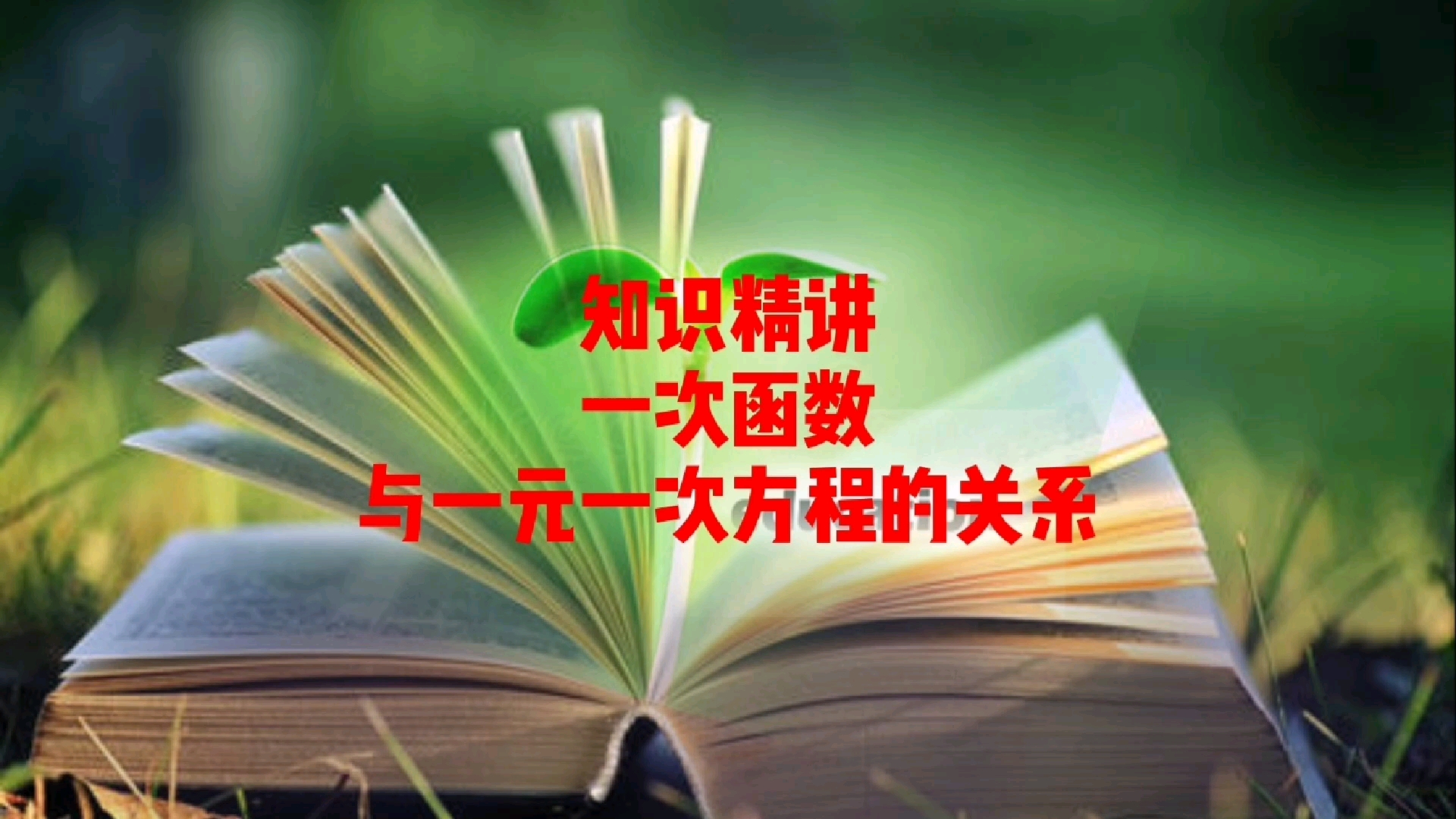 知识精讲——一次函数专题(与一元一次方程的关系)