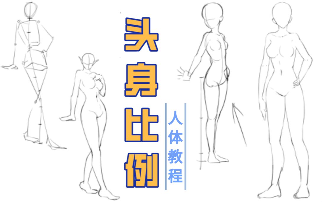 【板绘漫画人体教程】掌握好头身比例,画Q版都没有问题,教你怎样画...