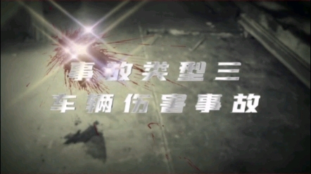 车辆伤害事故案例(4)