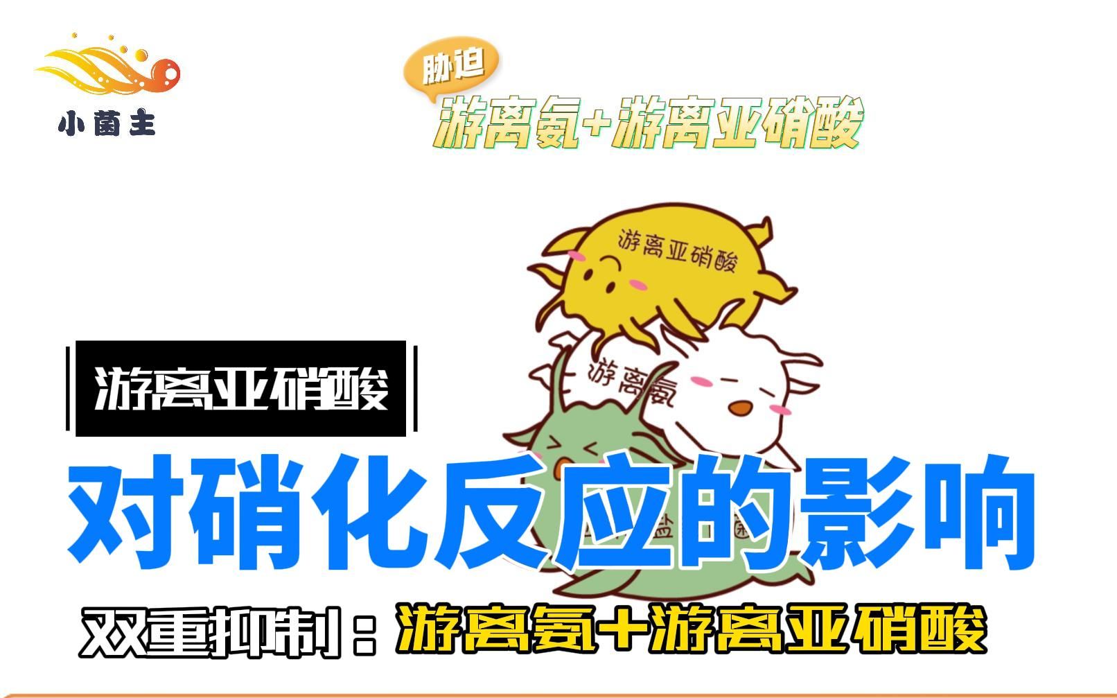 游离亚硝酸对硝化反应的影响