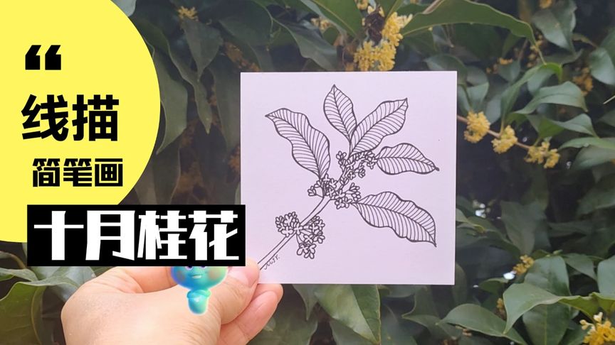 十月桂花飘香,一学就会的简笔画!