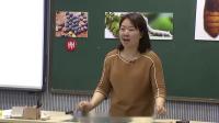 小学科学教科版三年级下册《蚕变了新模样》获奖课教学视频+PPT...