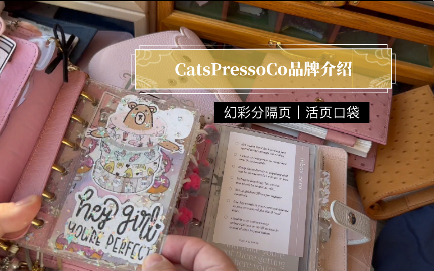 【INS品牌介绍】CatsPressoCo小乖家全品展示和用法分享(下篇)-活页...