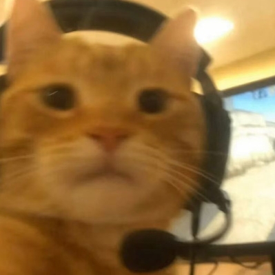 郁金香没你浴巾香a 