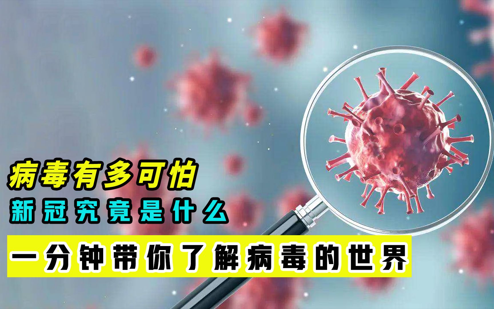 病毒究竟有多可怕,新冠到底是什么,一分钟带你了解病毒