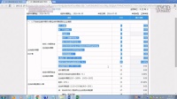 《中华人民共和国企业所得税月(季)度预缴纳税申报表(B类)》操作视频