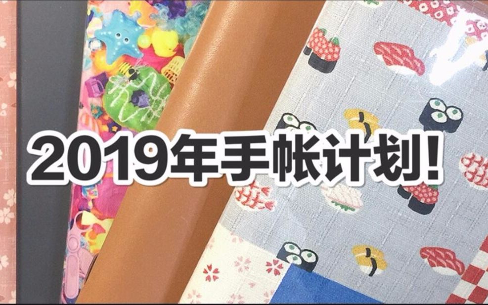 【手帐计划】2019年手帐本使用计划!@三水為淼