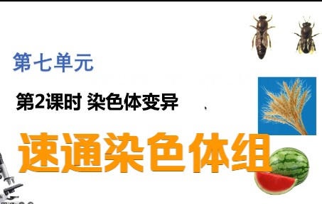 【高中生物一轮复习】7.2-1 染色体变异 数目变异 新高考生物步步高...