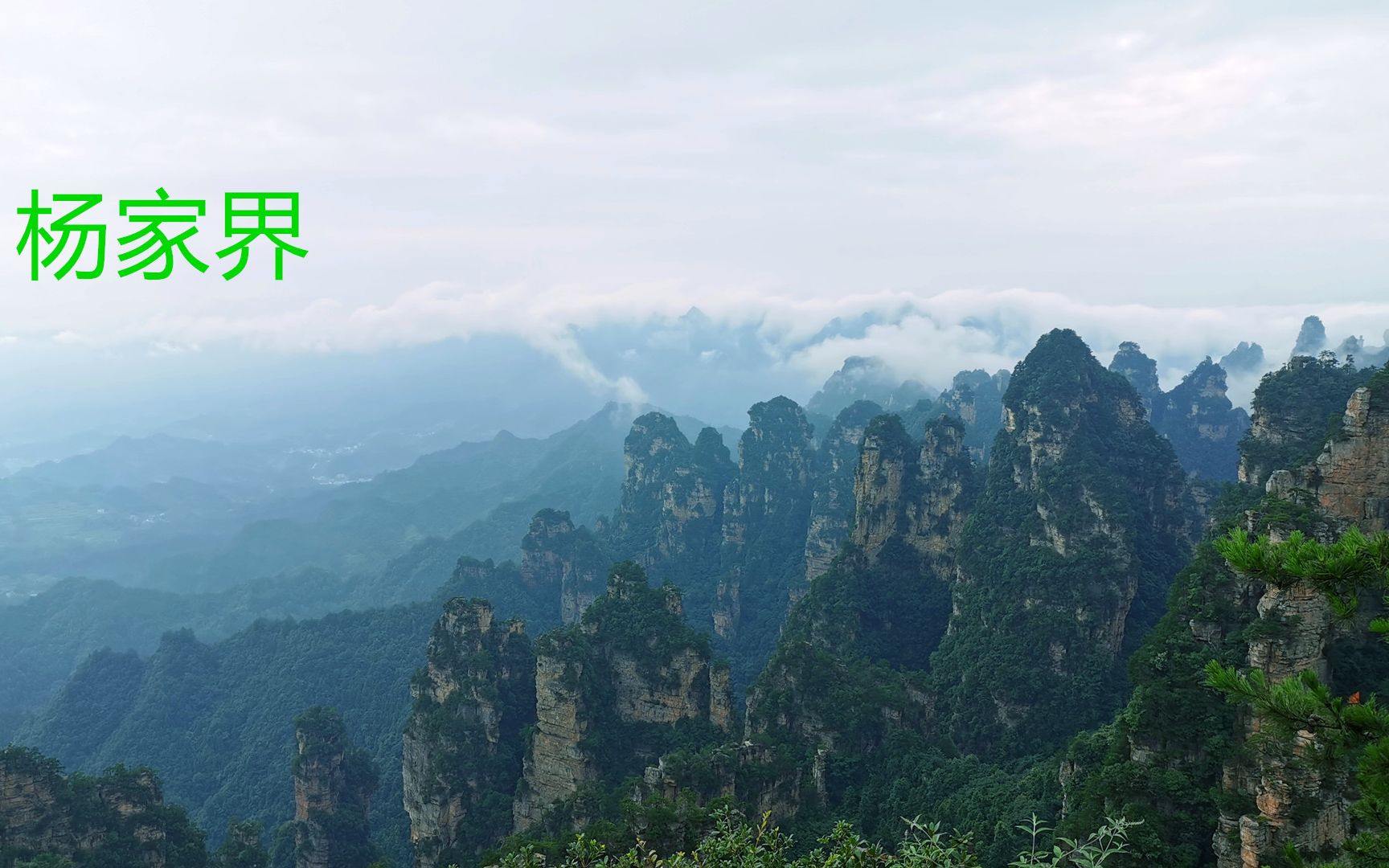 湖南张家界国家森林公园的杨家界,山势壮丽奇峰林立,风景美如画