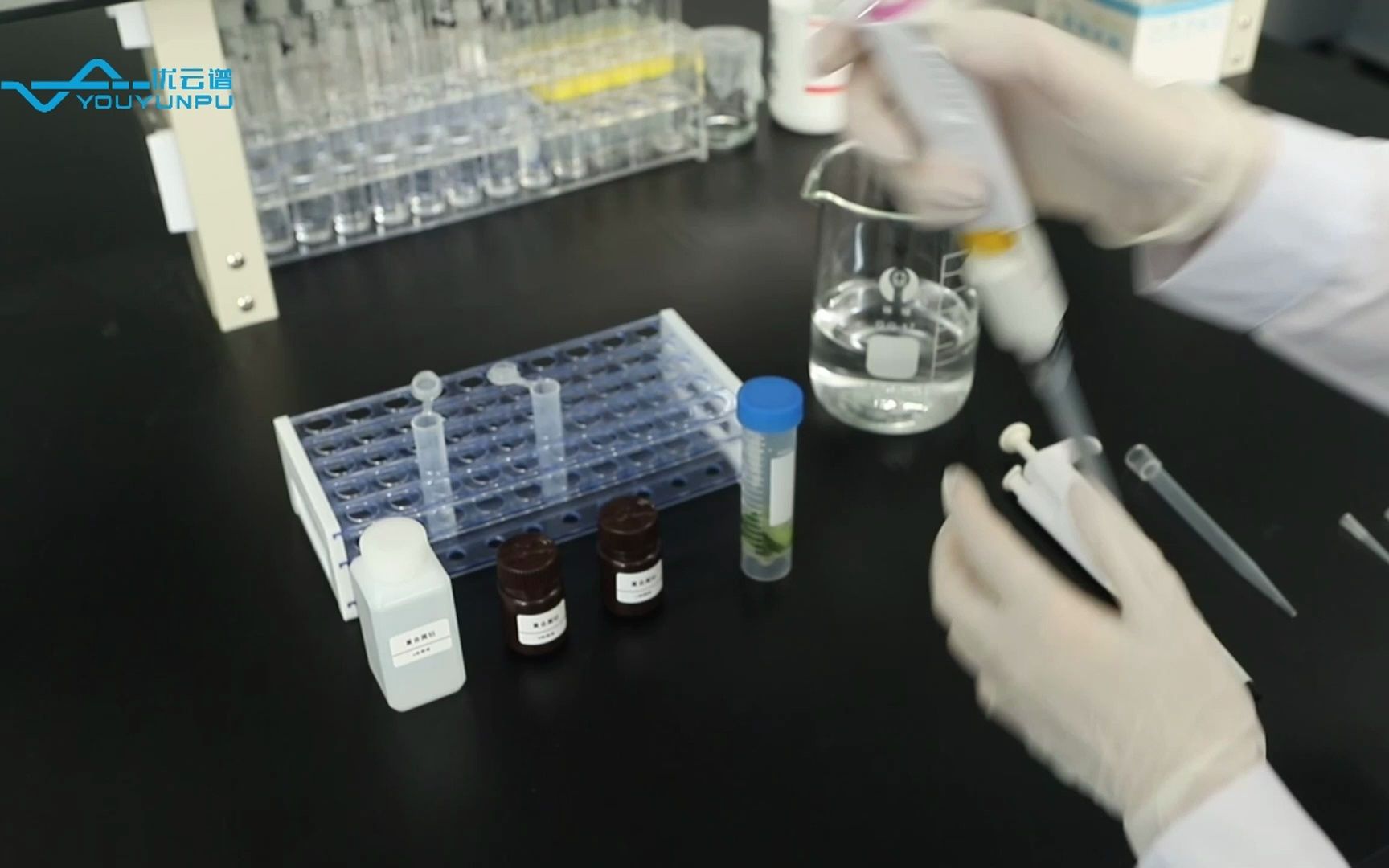 便携式食品安全检测仪检测重金属铅详细操作过程