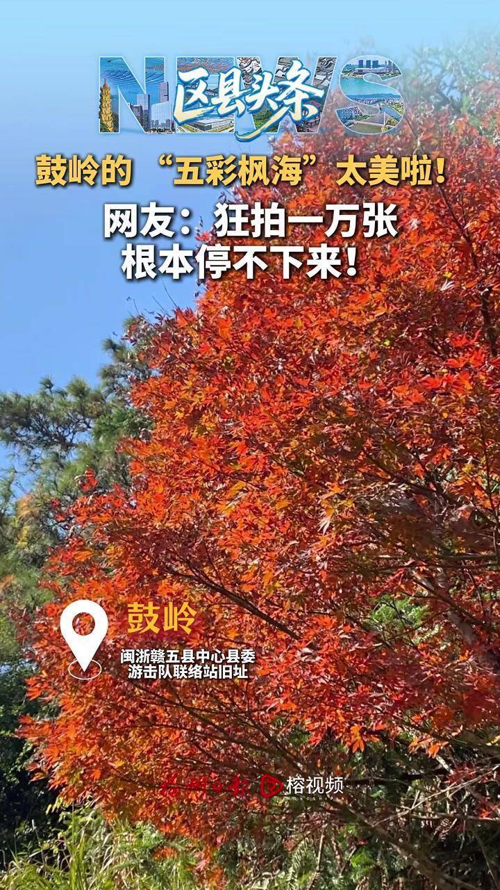 ...福州#晋安#鼓岭#枫叶#打卡#旅游编辑:苏怡莲审核:林敏勇俞松林羽晗