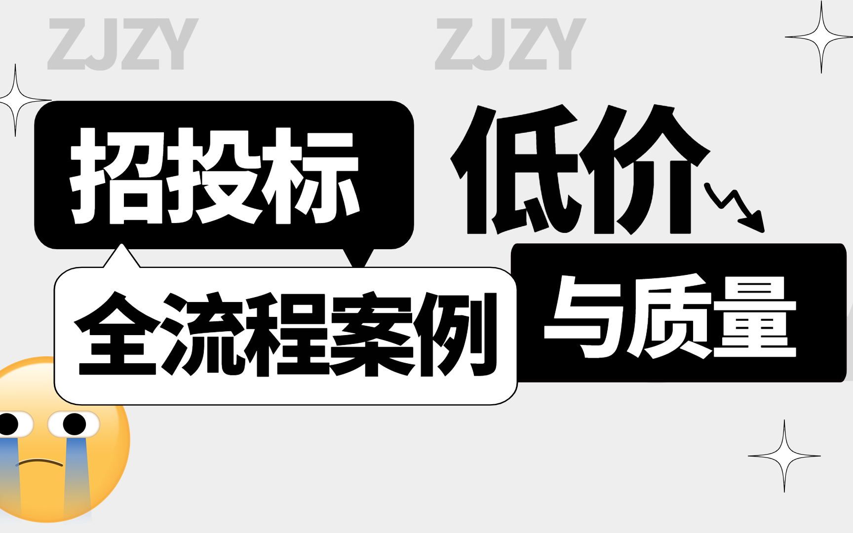 招投标全流程案例——低价与质量