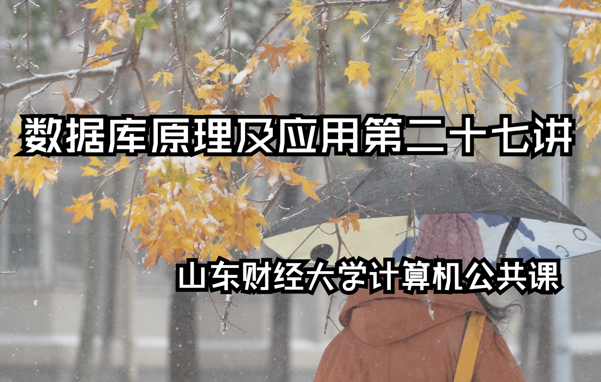数据库原理及应用第二十七讲-课堂案例-学生管理数据库-外键与参照...